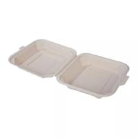 China Eco Friendly Disposable Biodegradable Corn Starch Lunch Box Clamshell Takeaway Boxes for sale
