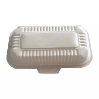 China Biodegradable 600ml Corn Starch Clamshell Food Container 195x145x50mm Eco-Friendly Takeout Box for sale