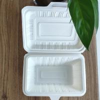 China Biodegradable 900ml Corn Starch Takeaway Food Container Clamshell 210x200x65mm for sale
