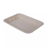 China Biodegradable Bagasse Sugarcane Food Tray 8in Shallow Disposable Party Tray 500pcs for sale