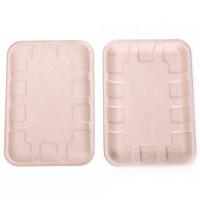 China Biodegradable Bagasse Sugarcane Food Tray 8in Shallow Disposable Party Tray 500pcs for sale
