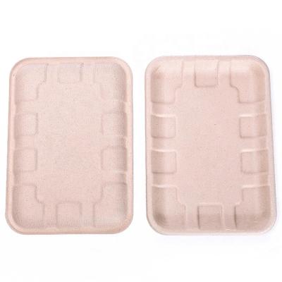 China Biodegradable Bagasse Sugarcane Food Tray 8in Shallow Disposable Party Tray 500pcs for sale