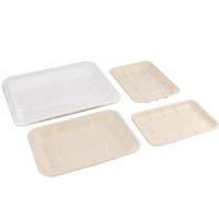 China Eco Friendly Biodegradable Sugarcane Bagasse Tableware Disposable Compostable Food Tray for sale