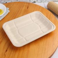 China Eco Friendly Biodegradable Sugarcane Bagasse Tableware Disposable Compostable Food Tray for sale