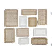 China Disposable Biodegradable Sugarcane Bagasse Food Tray 220ml 220x135x30mm for sale