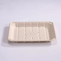 China Disposable Biodegradable Sugarcane Bagasse Food Tray 220ml 220x135x30mm for sale