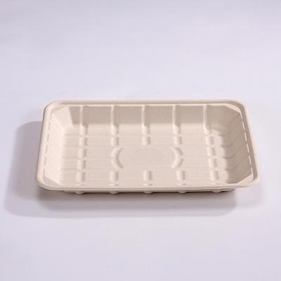China Disposable Biodegradable Sugarcane Bagasse Food Tray 220ml 220x135x30mm for sale