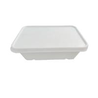China Disposable Takeaway Sugarcane Bagasse Box Disposable Food Containers With Lids for sale