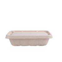 China 100% Biodegradable Sugarcane Bagasse Takeaway Lunch Box 750ml Microwave Safe for sale