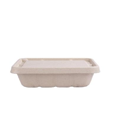 China 100% Biodegradable Sugarcane Bagasse Takeaway Lunch Box 750ml Microwave Safe for sale