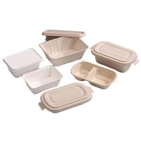 China Disposable Takeaway Sugarcane Bagasse Box Disposable Food Containers With Lids for sale