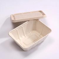 China Disposable Takeaway Sugarcane Bagasse Box Disposable Food Containers With Lids for sale