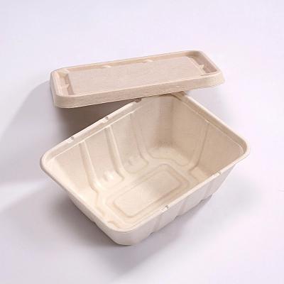 China Disposable Takeaway Sugarcane Bagasse Box Disposable Food Containers With Lids for sale