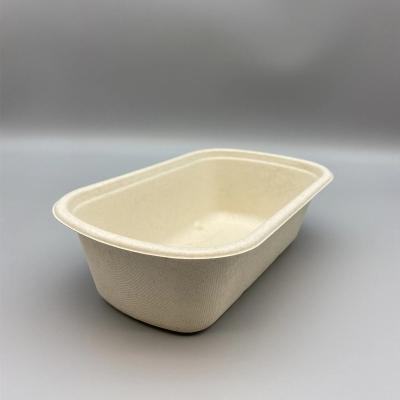 China Biodegradable Sustainable Bagasse Sugarcane Clamshell Box With Lid for sale