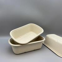 China Biodegradable Sustainable Bagasse Sugarcane Clamshell Box With Lid for sale