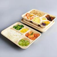 China Eco Friendly Biodegradable Sugarcane Bagasse Pulp Take Away Hot Food Container 450ml 1000ml for sale