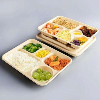China Eco Friendly Biodegradable Sugarcane Bagasse Pulp Take Away Hot Food Container 450ml 1000ml for sale