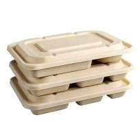 China Eco Friendly Biodegradable Sugarcane Bagasse Pulp Take Away Hot Food Container 450ml 1000ml for sale