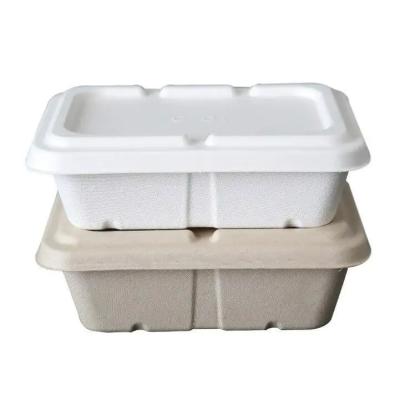 China Disposable Compostable Biodegradable Take Out Fast Food Packaging Takeaway Container Paper Boxes for sale