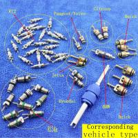 China Air Conditioner A/C Schrader Valve Core Car R12 R134a Refrigeration Tire Valve Stem Core for sale