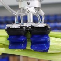 China Food Industry 1100g Universal Robot Gripper Saving Manpower for sale