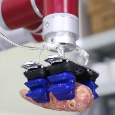 China ISO 200g Soft Robotic Gripper For Small Volume Goods for sale