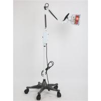 China Electromagnetic Therapeutic Physiotherapy Lamp 250W with 2-25μm Infrared Spectrum and 360° Rotation for sale