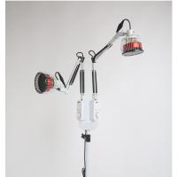 China Medical Physiotherapy Red Heat Lamp TDP 250W Floor Type Dual Head Iron Stand for sale