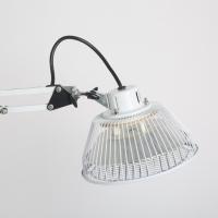 China Electromagnetic Therapeutic Infrared Therapy Lamp 250W 220V Floor Type with 5-Feet Stand for sale