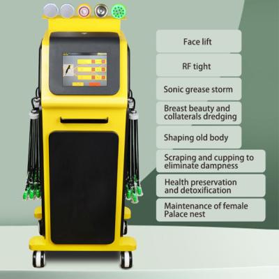 China Heaty Expression HE-VCM01V1 Beauty Massage Machine with 100W Power and 5 Multi-Function Heads for sale