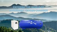 China Hearty Expression Portable HBOT Chamber 4PSI Hyperbaric Oxygen Therapy Unit with CE/FCC Certification for sale