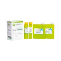 China TG TCH LDL LP Biochemistry Reagent Blood Analysis System with 180+ Parameters and 2-8°C Storage for Clinical Laboratories for sale