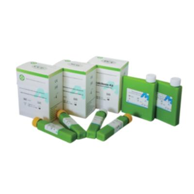 China HP HPT Diagnostic Biochemical Test Reagents - 180+ Parameters, Class II Medical Device, 2-8°C Storage for sale