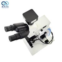 China Digital Fully Automatic Laboratory Fluorescence Microscope with 40X-1000X Magnification and AI Reporting System for sale