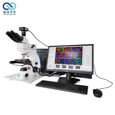 China Binocular LED Microscope with AI Fluorescence 40X-1000X Magnification and Automatic Focus System for sale
