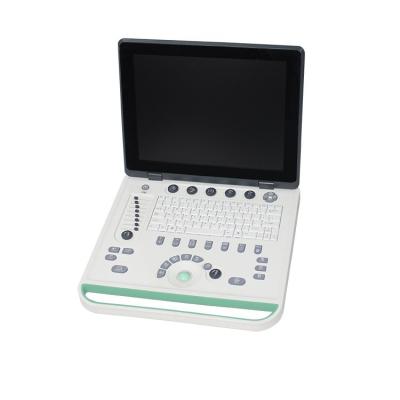 China 12 Inch Portable Veterinary Ultrasound Scanner HE-BUS05 with CE Certification and 1-Year Warranty for Animal Diagnosis for sale