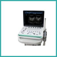 China 12 Inch Portable Veterinary Ultrasound Scanner HE-BUS05 with CE Certification and 1-Year Warranty for Animal Diagnosis for sale