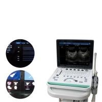China 12 Inch Portable Veterinary Ultrasound Scanner HE-BUS05 with CE Certification and 1-Year Warranty for Animal Diagnosis for sale