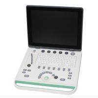 China 12 Inch Portable Veterinary Ultrasound Scanner HE-BUS05 with CE Certification and 1-Year Warranty for Animal Diagnosis for sale