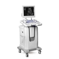 China Portable Color Doppler Ultrasound Machine 19 inch LCD Diagnostic Scanner CE for sale