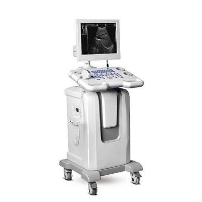 China Portable Color Doppler Ultrasound Machine 19 inch LCD Diagnostic Scanner CE for sale