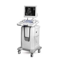 China Portable Color Doppler Ultrasound Machine 19 inch LCD Diagnostic Scanner CE for sale