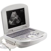 China Portable Color Doppler Ultrasound Machine 19 inch LCD Diagnostic Scanner CE for sale