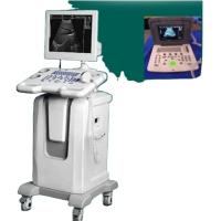 China Portable Color Doppler Ultrasound Machine 19 inch LCD Diagnostic Scanner CE for sale