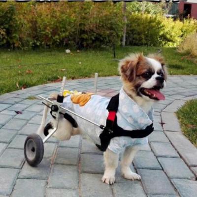 China Adjustable Pet Wheelchair for Dogs & Cats - 4 Wheel Mobility Support for 1.5-40kg Pets for sale