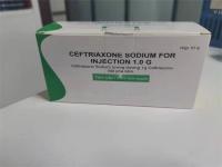 China Ceftriaxone Sodium Powder Injection 250mg 500mg Antibiotic Medicine CP BP EP USP Standards for sale
