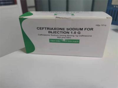 China Ceftriaxone Sodium Powder Injection 250mg 500mg Antibiotic Medicine CP BP EP USP Standards for sale