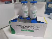 China Ceftriaxone Sodium Powder Injection 250mg 500mg Antibiotic Medicine CP BP EP USP Standards for sale