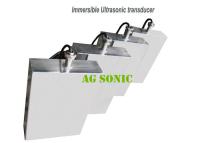 China Convenient Immersible Ultrasonic Transducer With High Intensity And Efficiency for sale