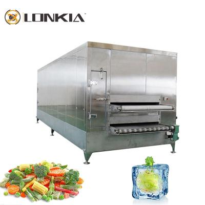 China IQF Frozen Food Industrial Freezer Food Machine Fluid Bed Freezer For Apricot Grape Fig for sale